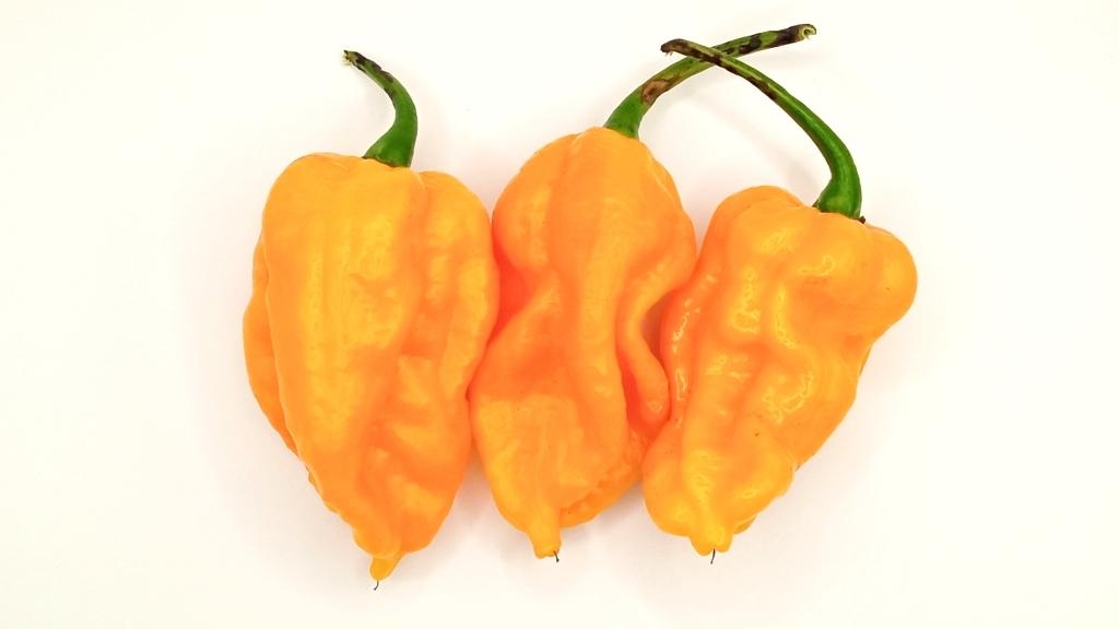 Острый перец Scorpion Butch-T Yellow
