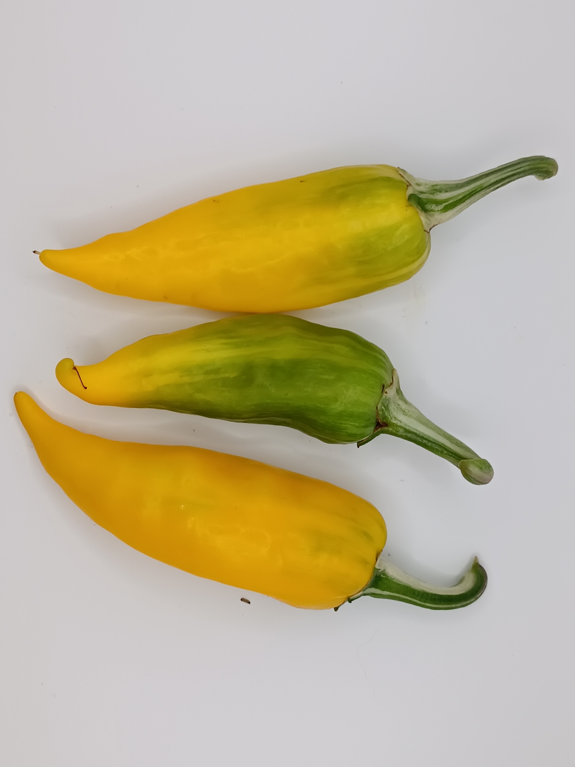 Острый перец Fish Yellow