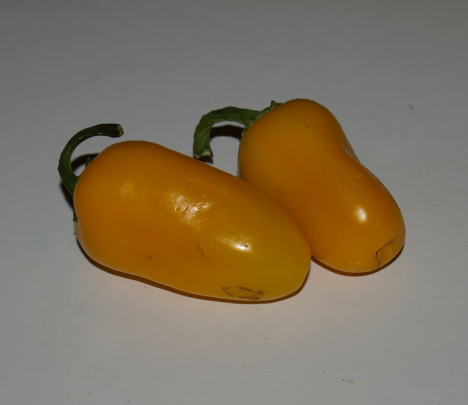 NewMex Lemon Spice (Острый перец Ньюмекс Лемон Спаси)