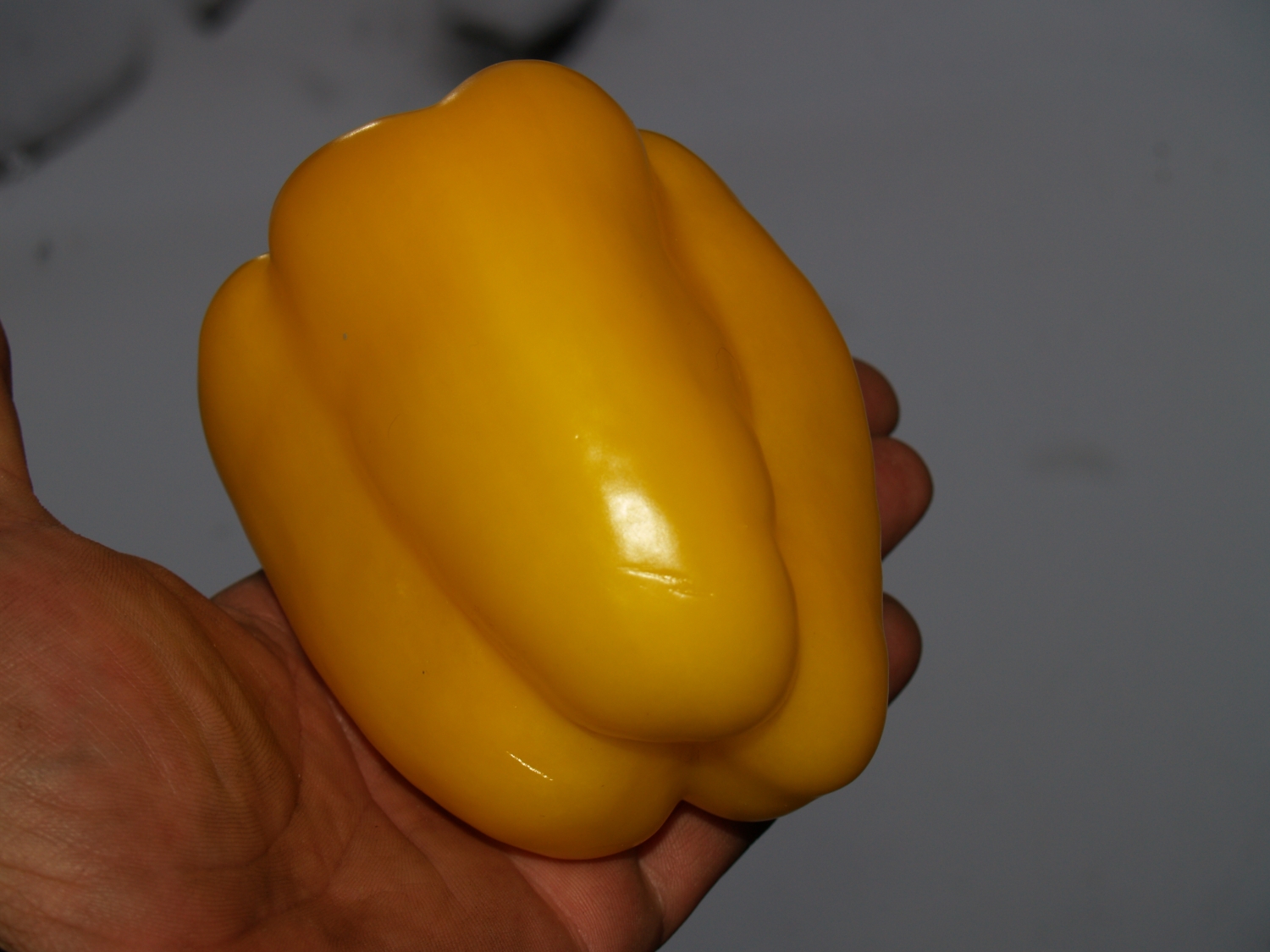 Сладкий перец California wonder yellow (Чудо Калифорнии желтое)