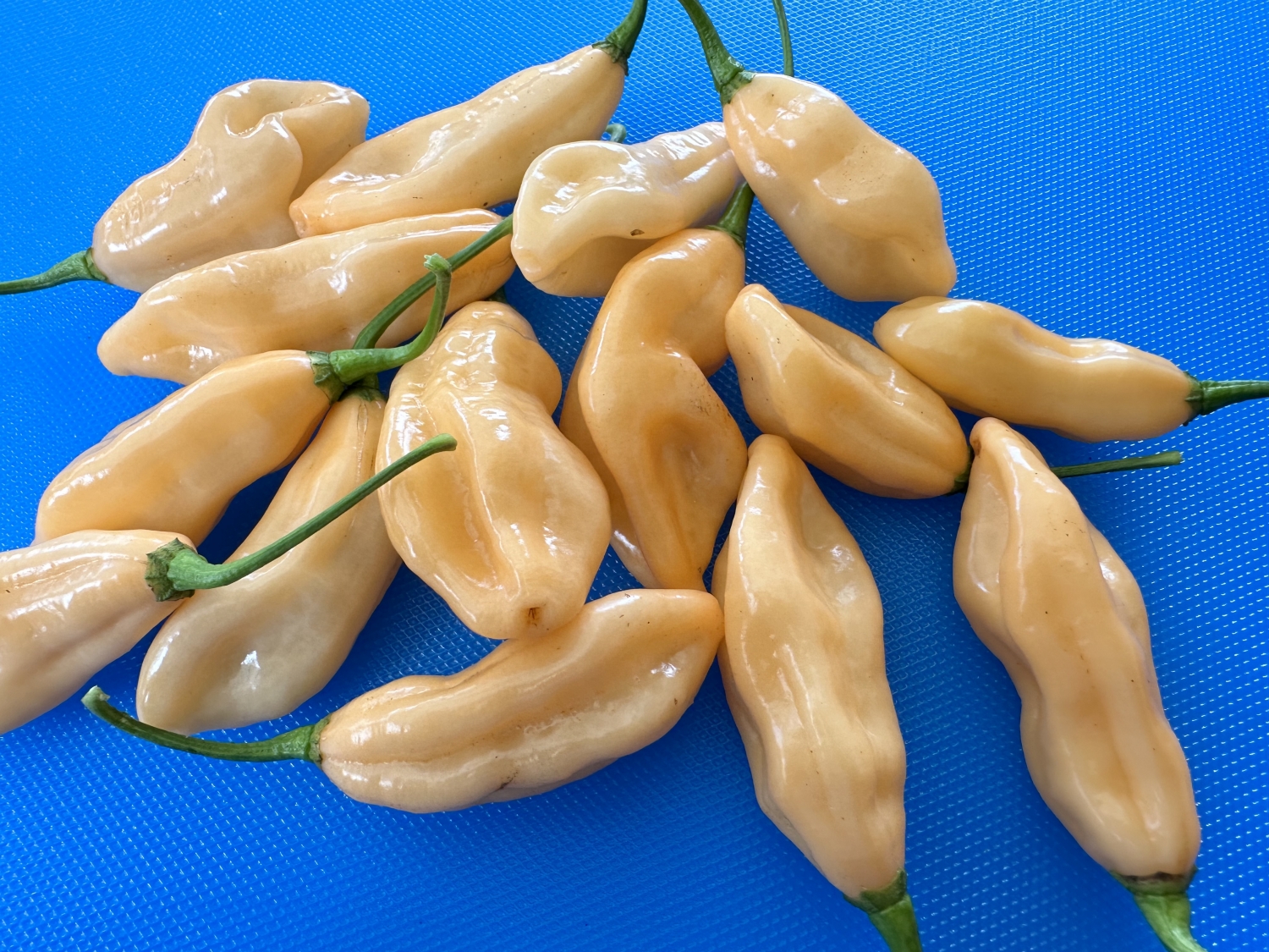 Острый перец Peach Fish Hot